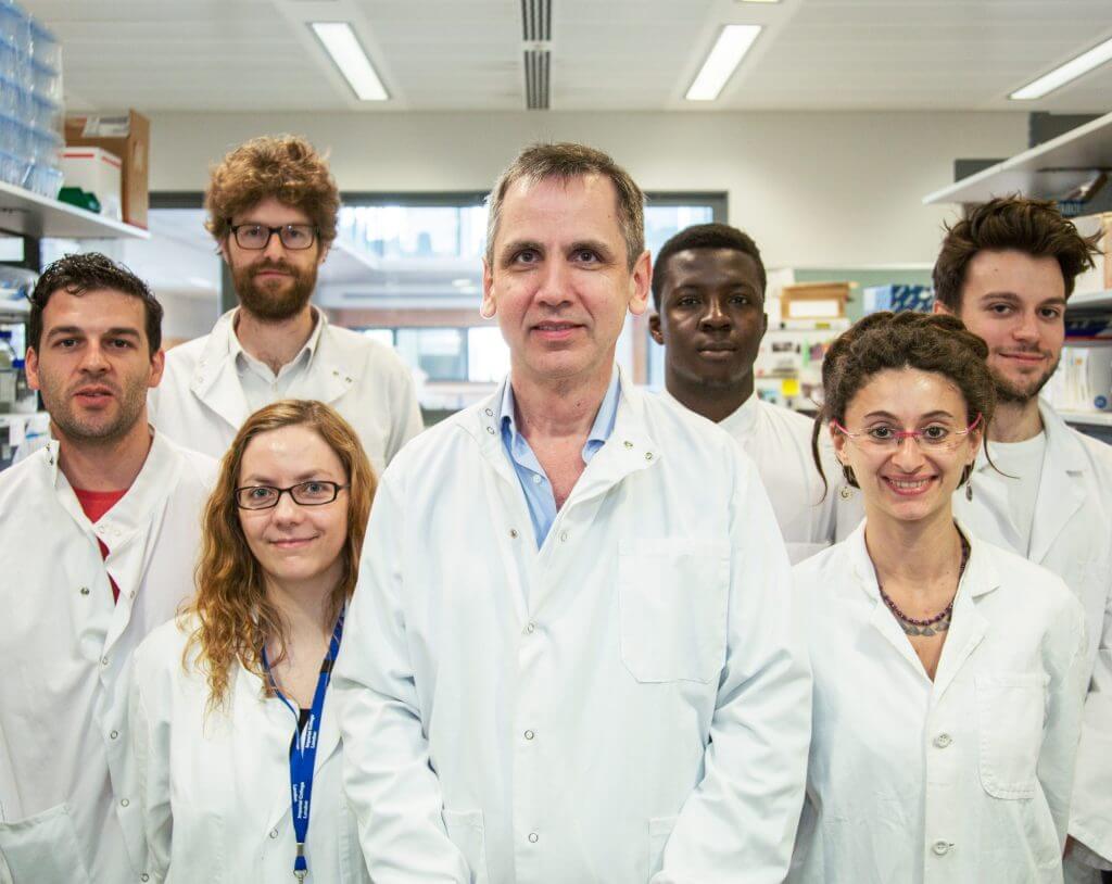 Professor Austin Burt | Target Malaria