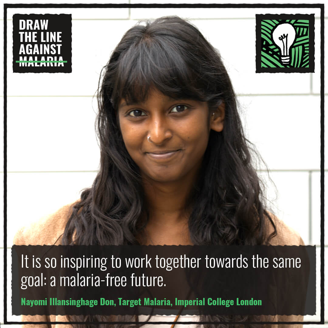 Target Malaria’s Young Scientists Draw the Line Against Malaria on ...