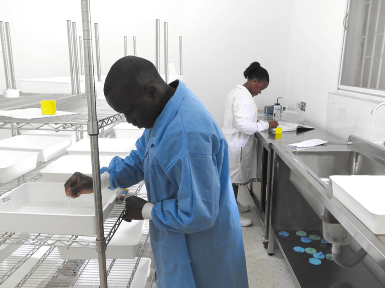 Arthropod Containment Guidelines updated with addendum on gene drive ...