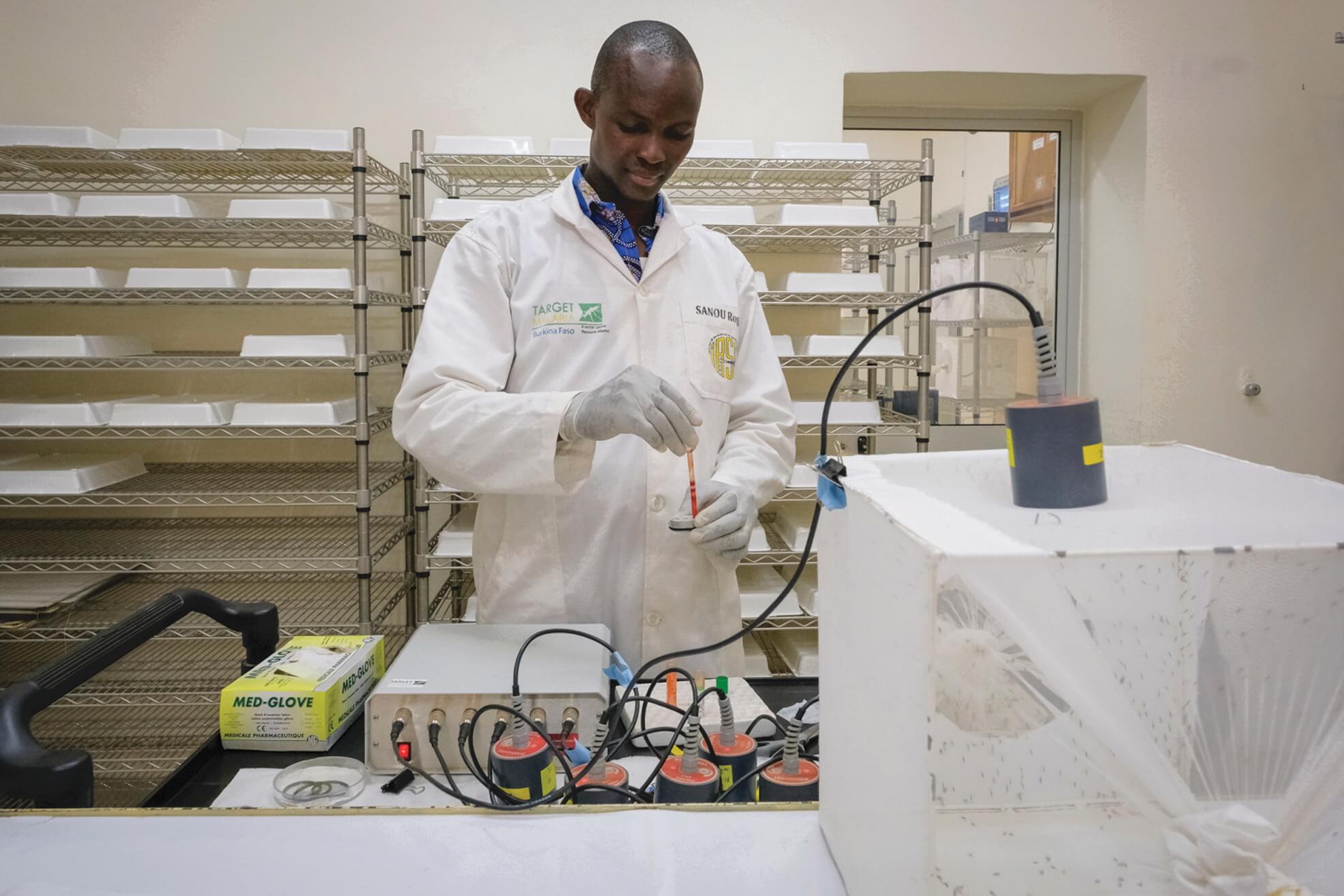 Preparing Africa’s first facility for the study of transgenic ...