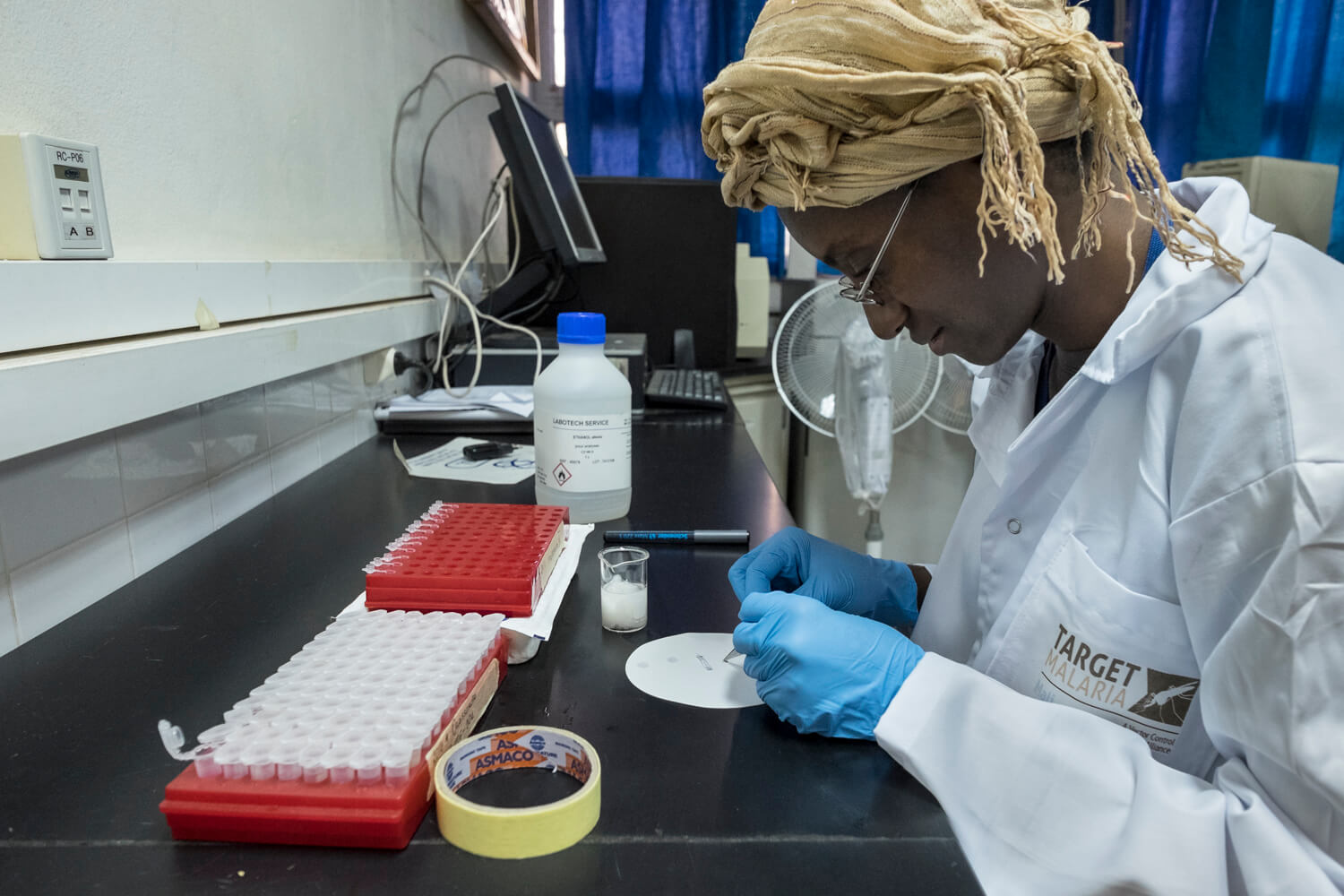 Celebrating a golden age of African malaria research | Target Malaria