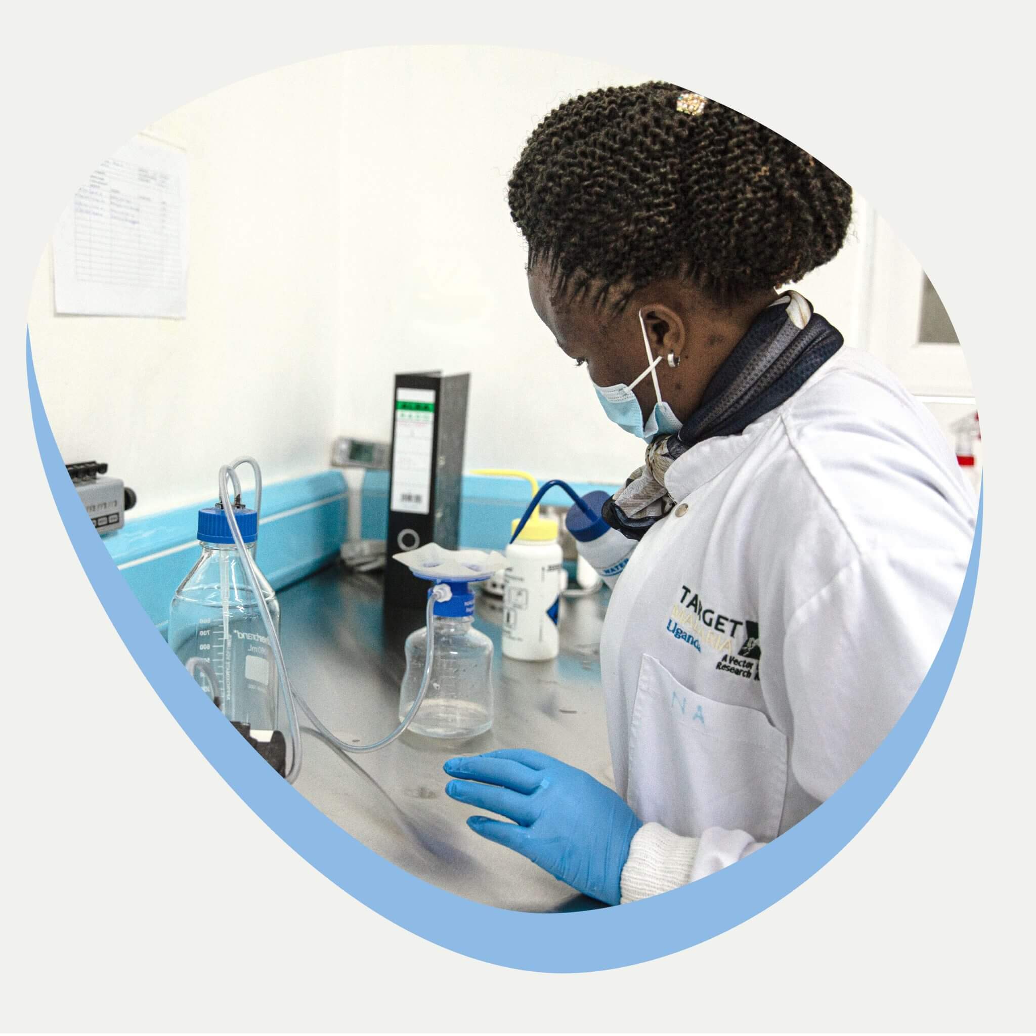 Home | Target Malaria