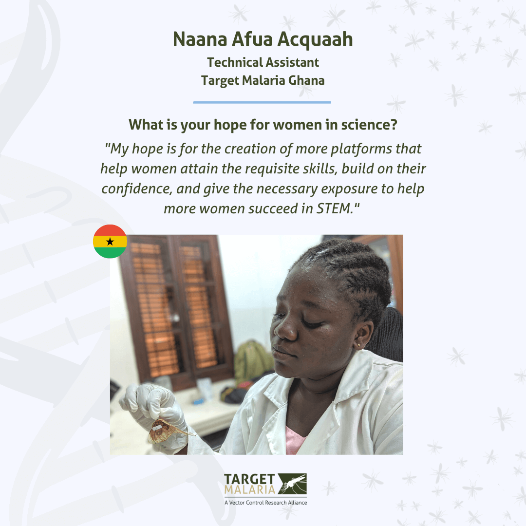 International Day of Women and Girls in Science | Target Malaria
