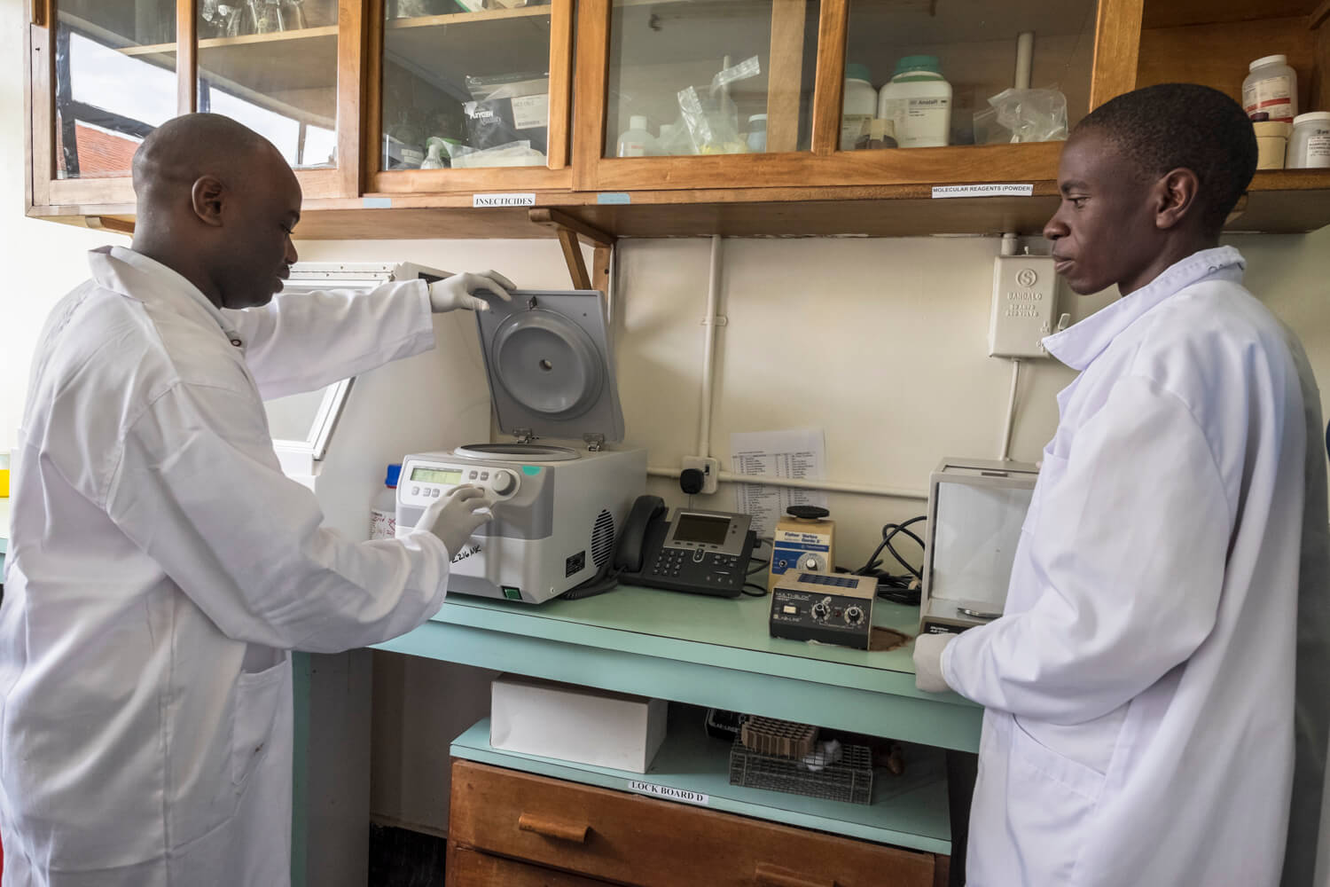 Reintroducing where we work | Target Malaria