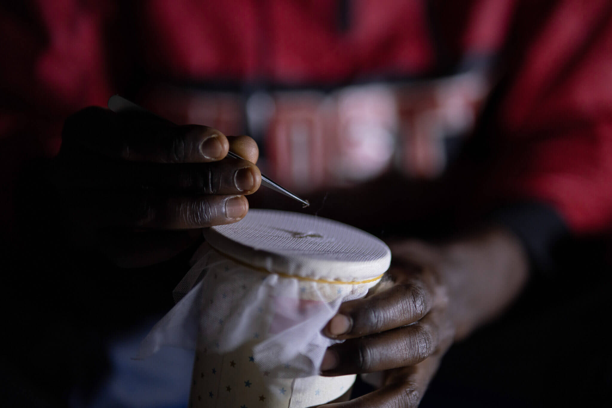 Entomology Explained | Target Malaria