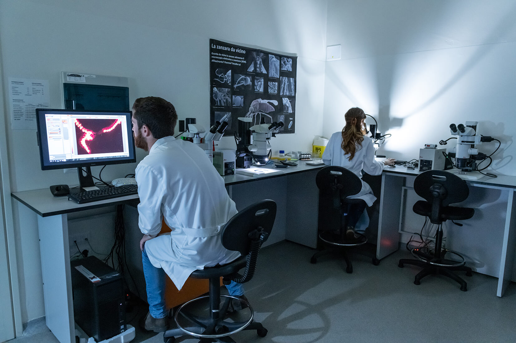 Science | Target Malaria