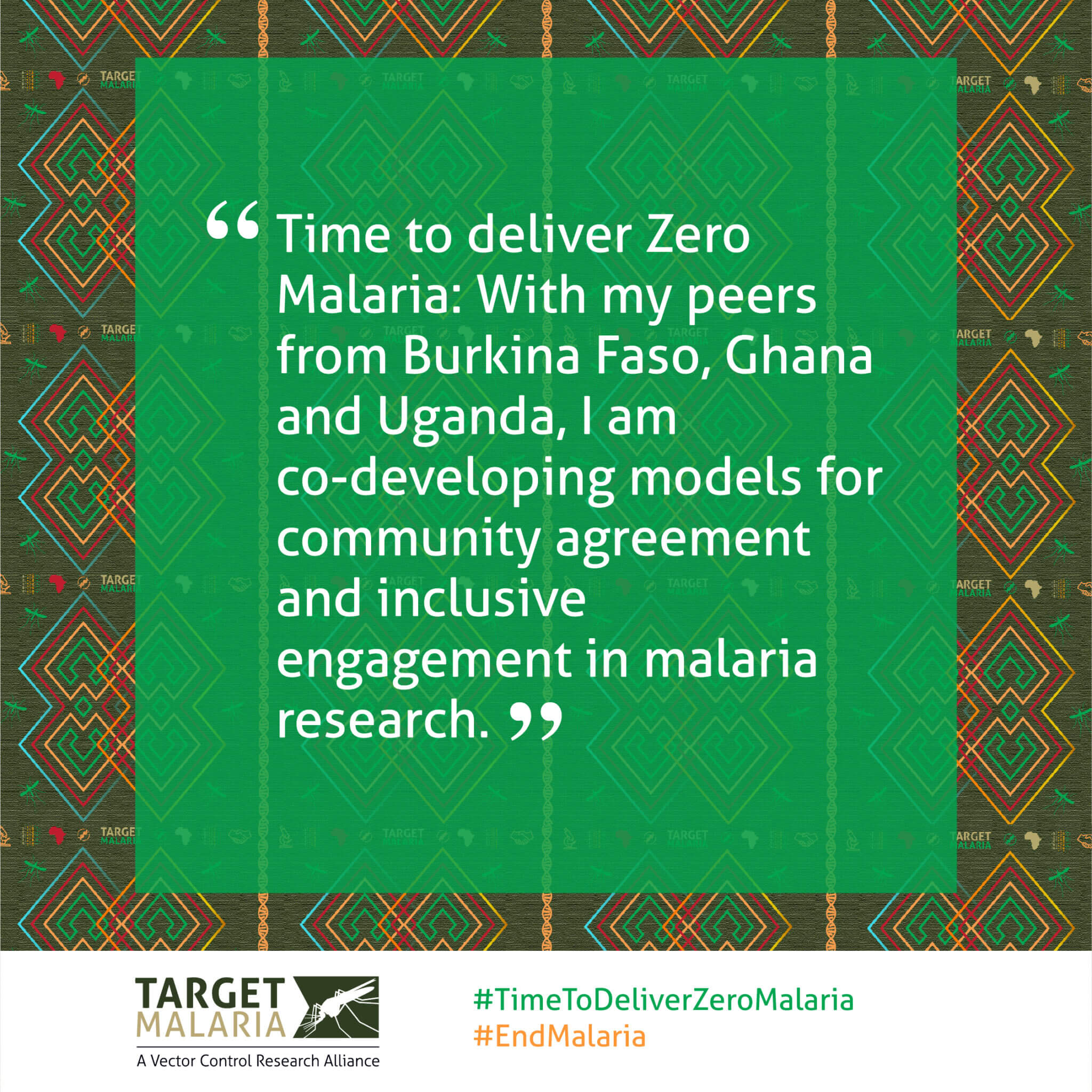 Meet the team innovating to End Malaria | Target Malaria