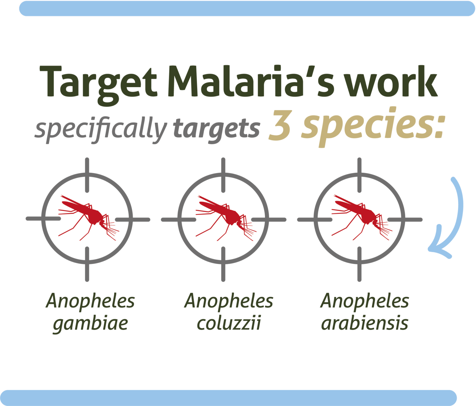Our Approach | Target Malaria