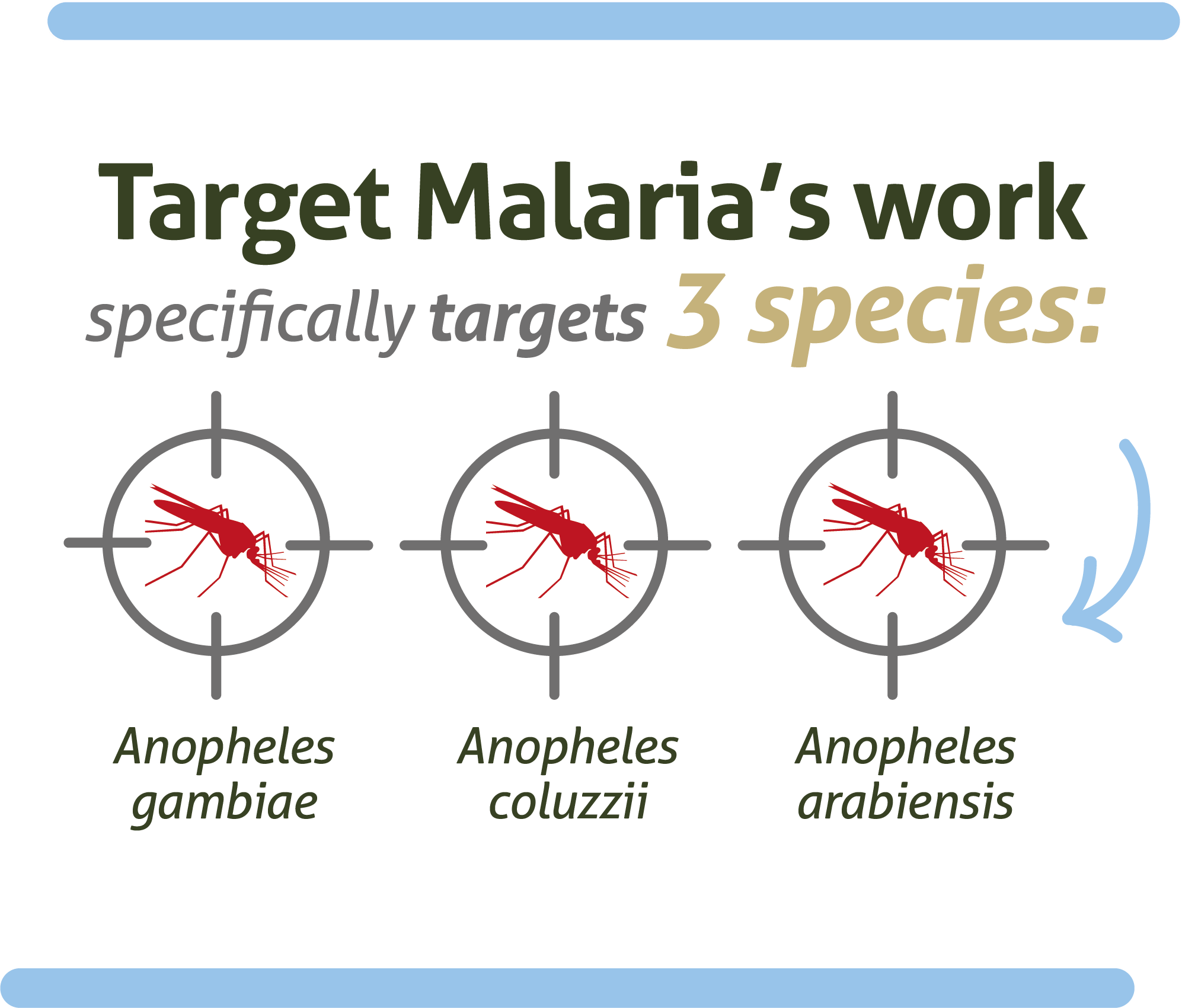 Our Approach | Target Malaria