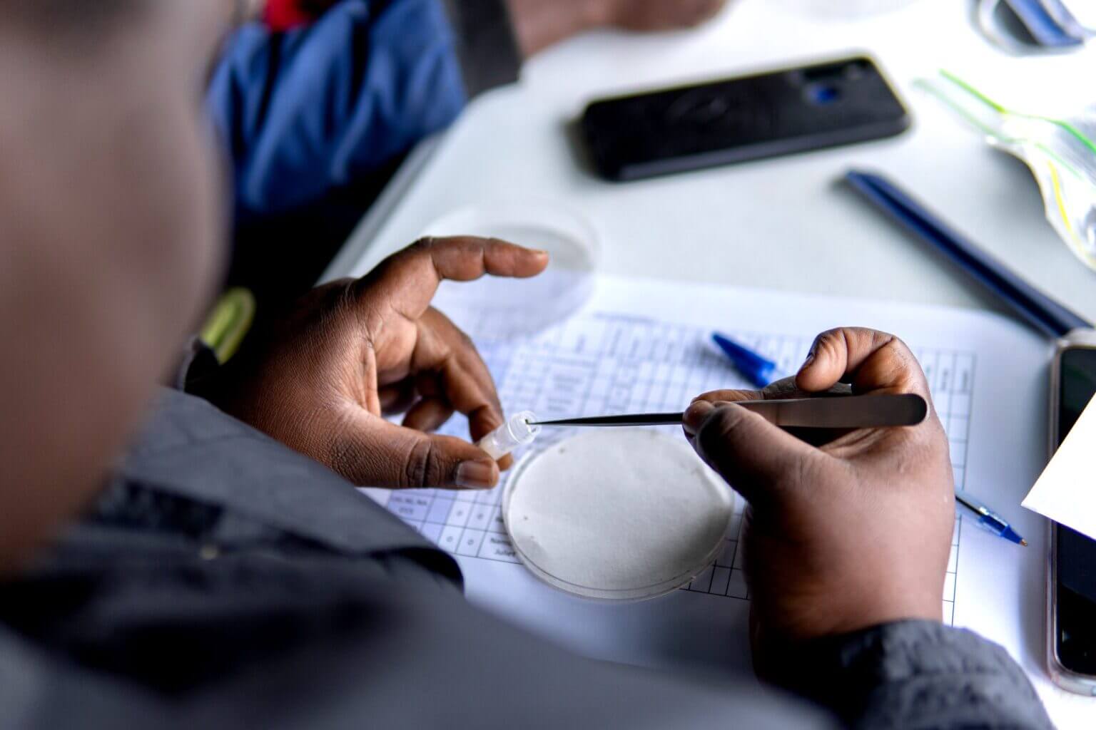 Field Entomology | Target Malaria