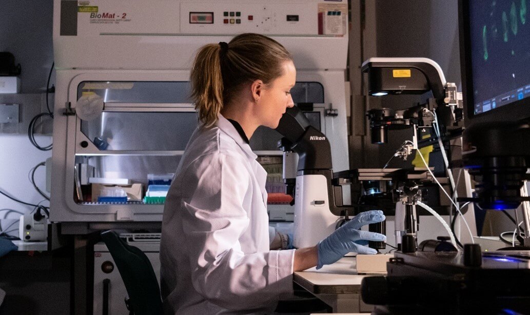 Microinjection: Transformation from wild to genetically modified ...