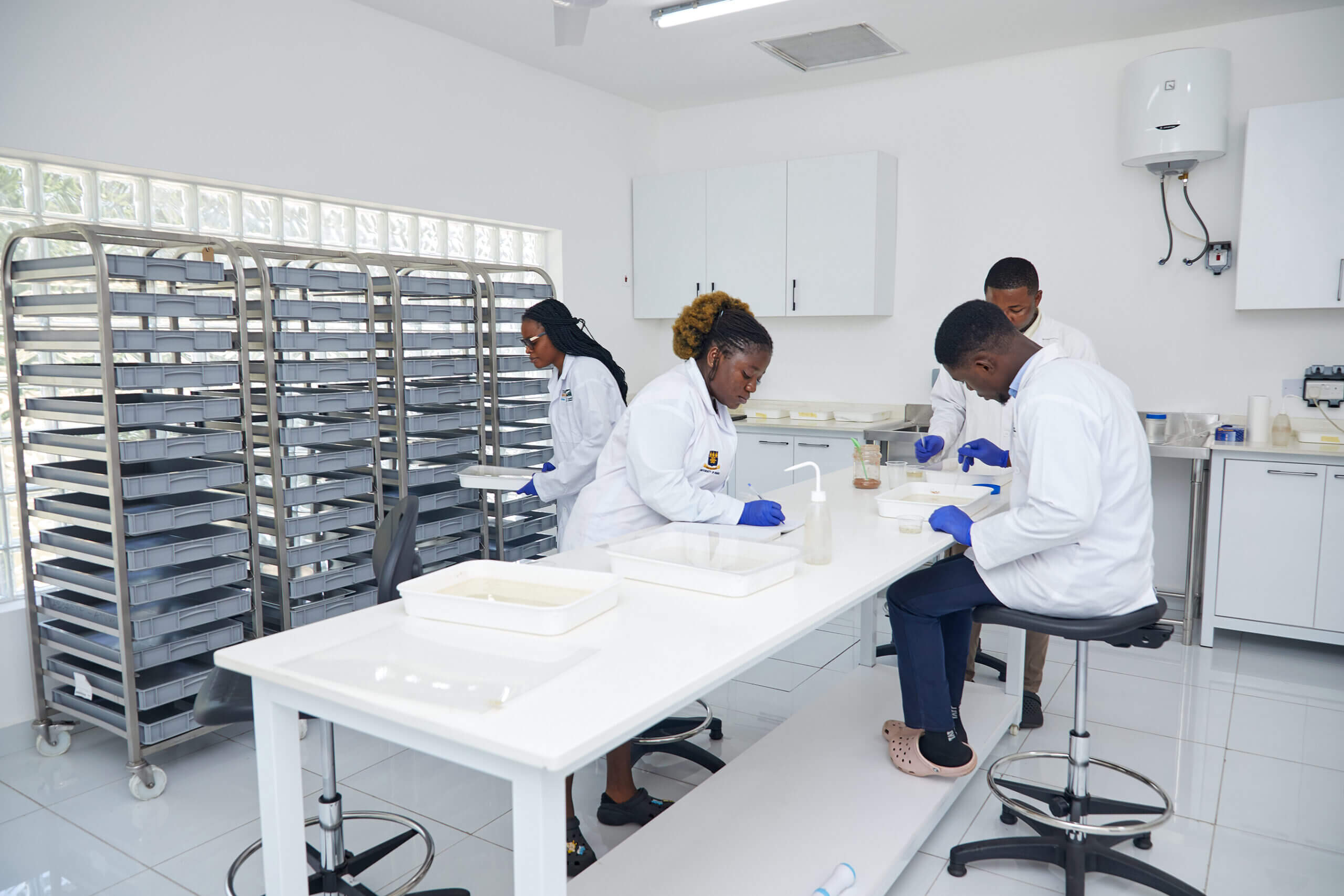 Insectary activities | Target Malaria