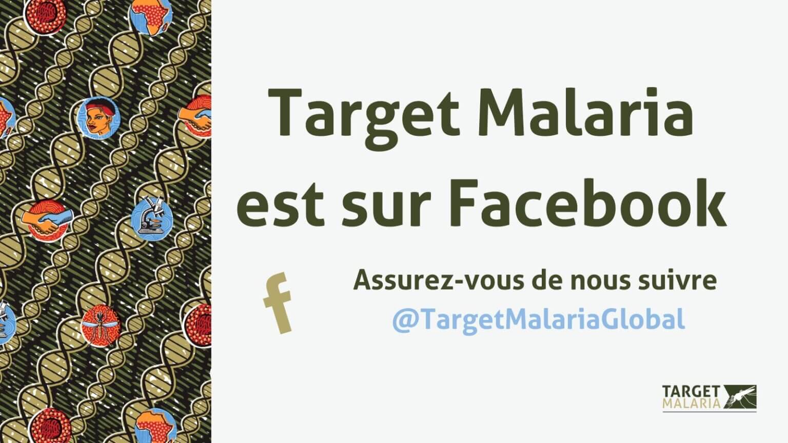 Actualités de nos équipes | Target Malaria