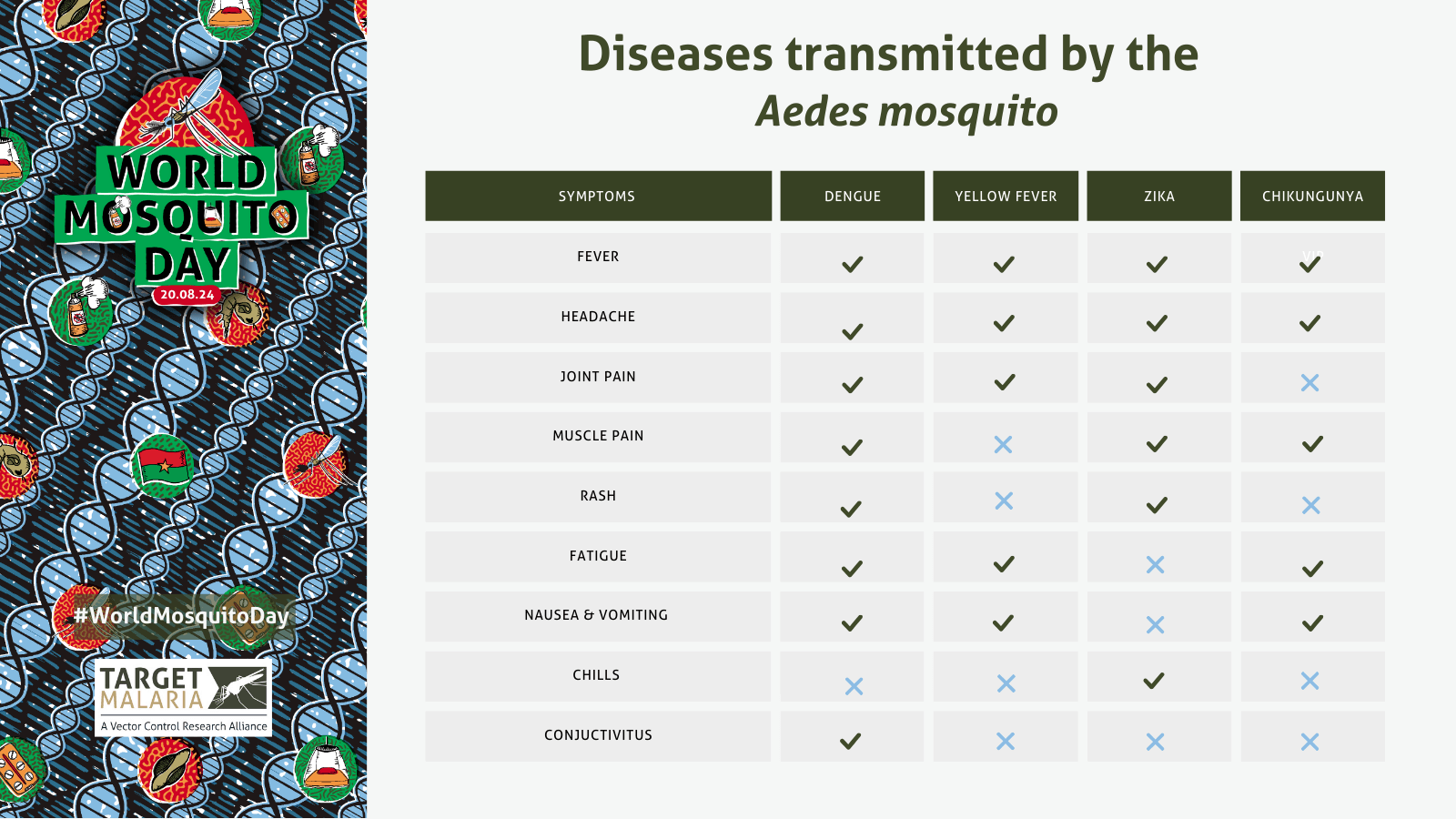 World Mosquito Day 2024 | Target Malaria