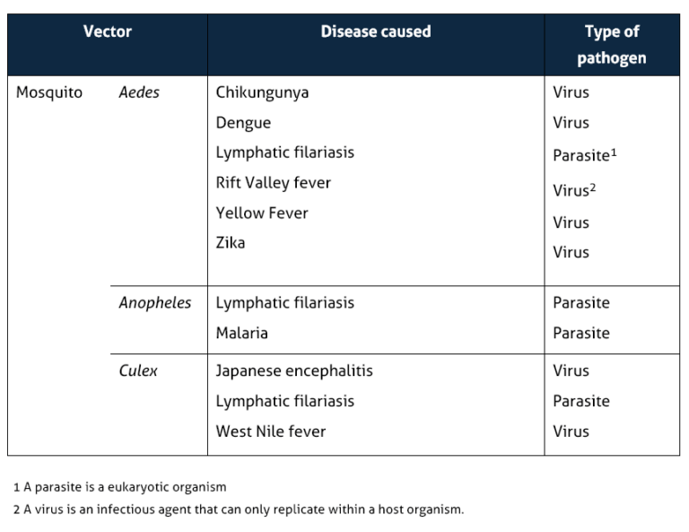 Mosquito-borne diseases and their vectors | Target Malaria