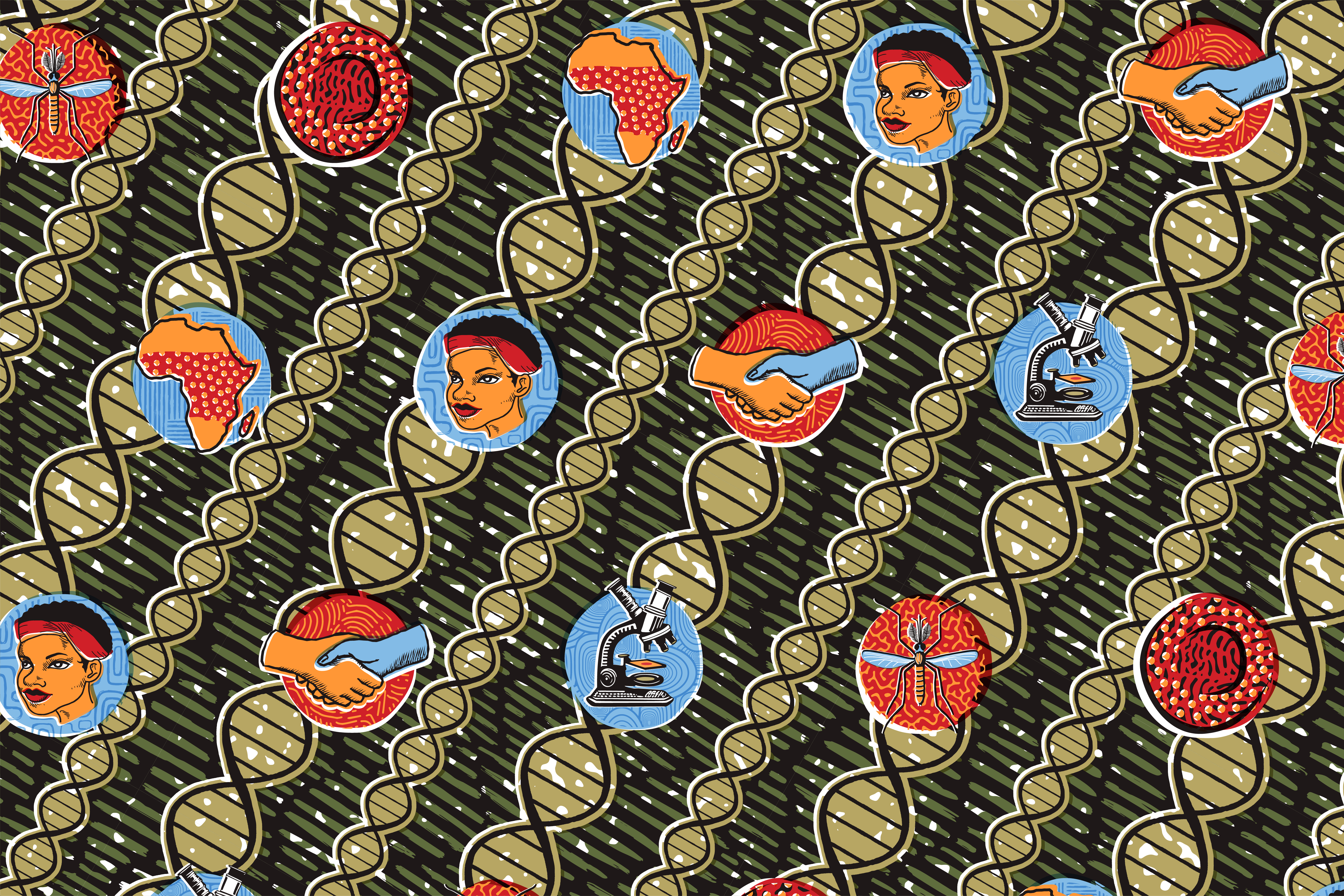 My experience interning with Target Malaria | Target Malaria