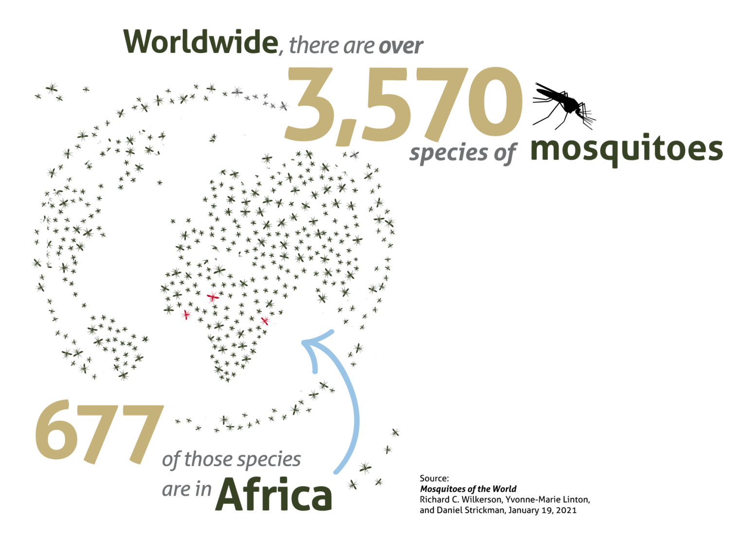 Our Approach | Target Malaria