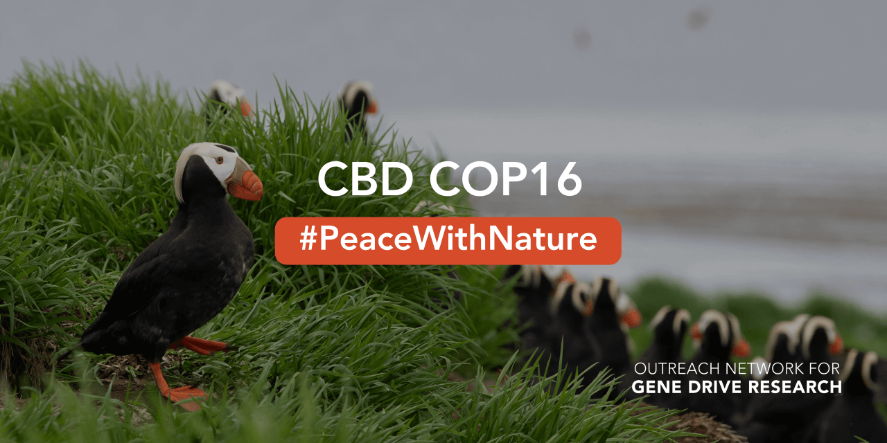 COP 16 highlights: A new path for peace with nature | Target Malaria