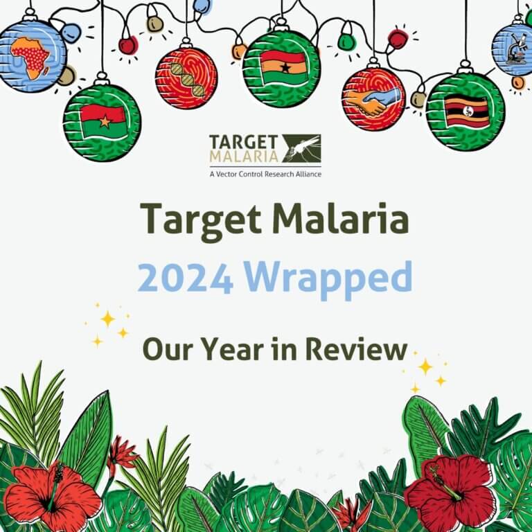 Target Malaria’s 2024 Highlights | Target Malaria