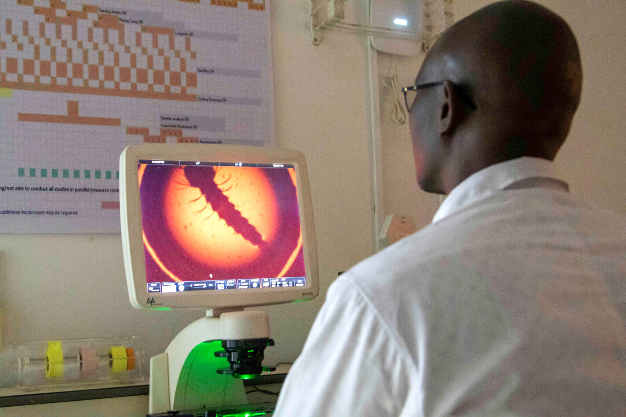 Draw the line against malaria! | Target Malaria