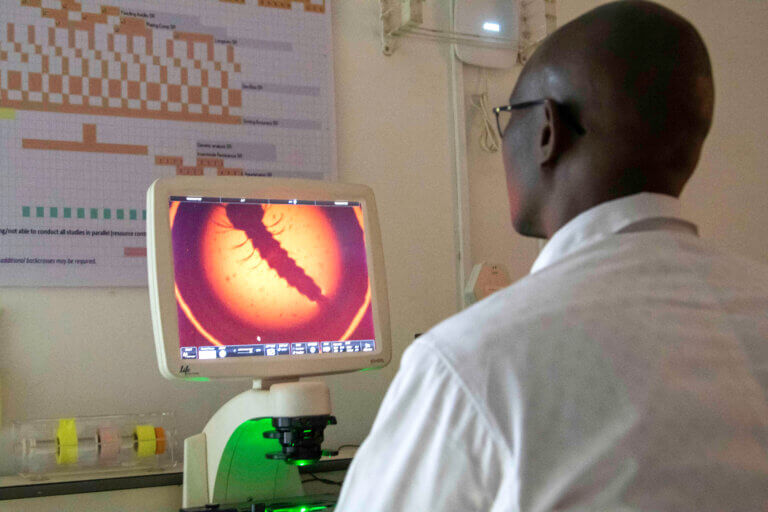 Our ‘Entomology Explained’ series | Target Malaria