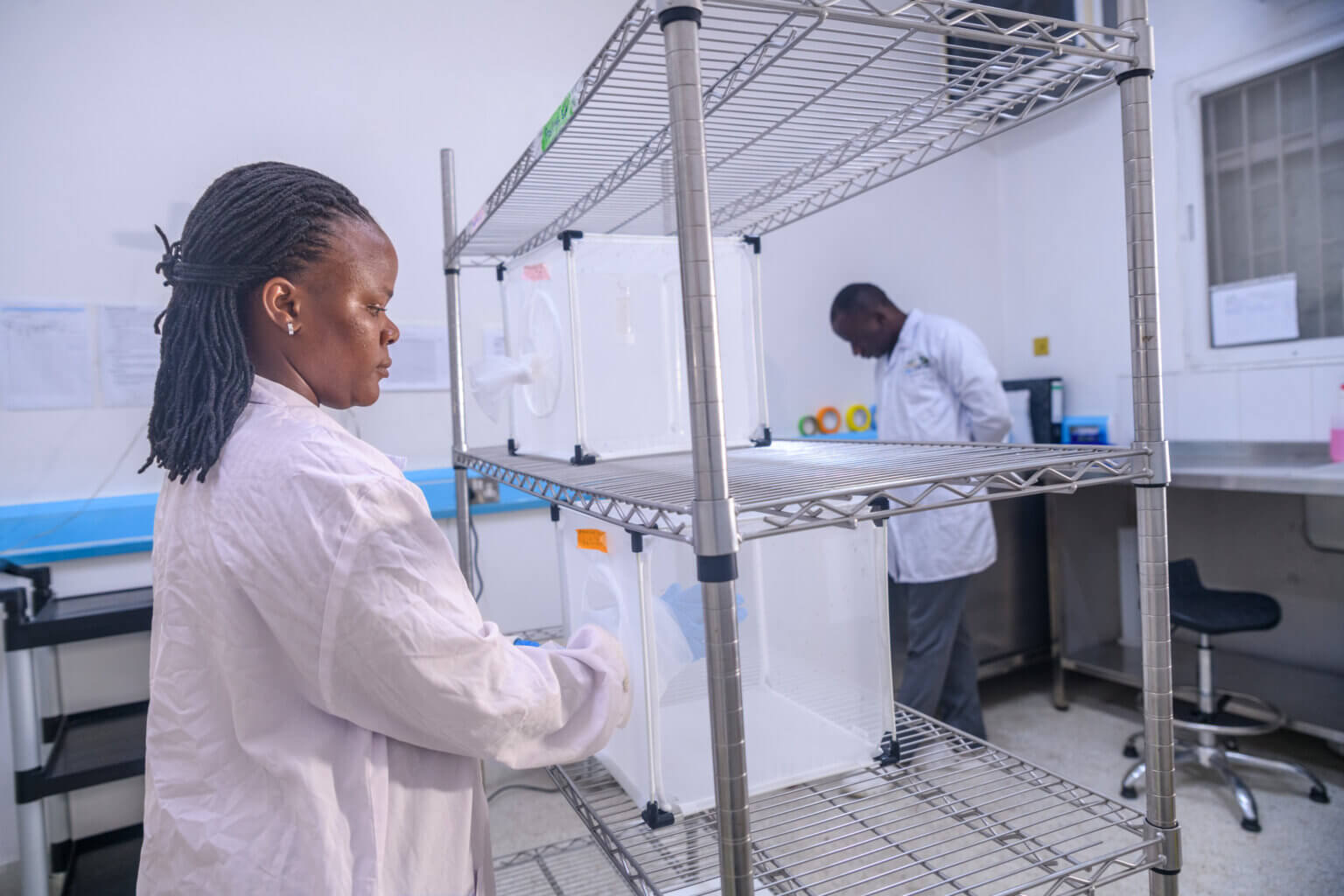 World Malaria Report 2025 | Target Malaria